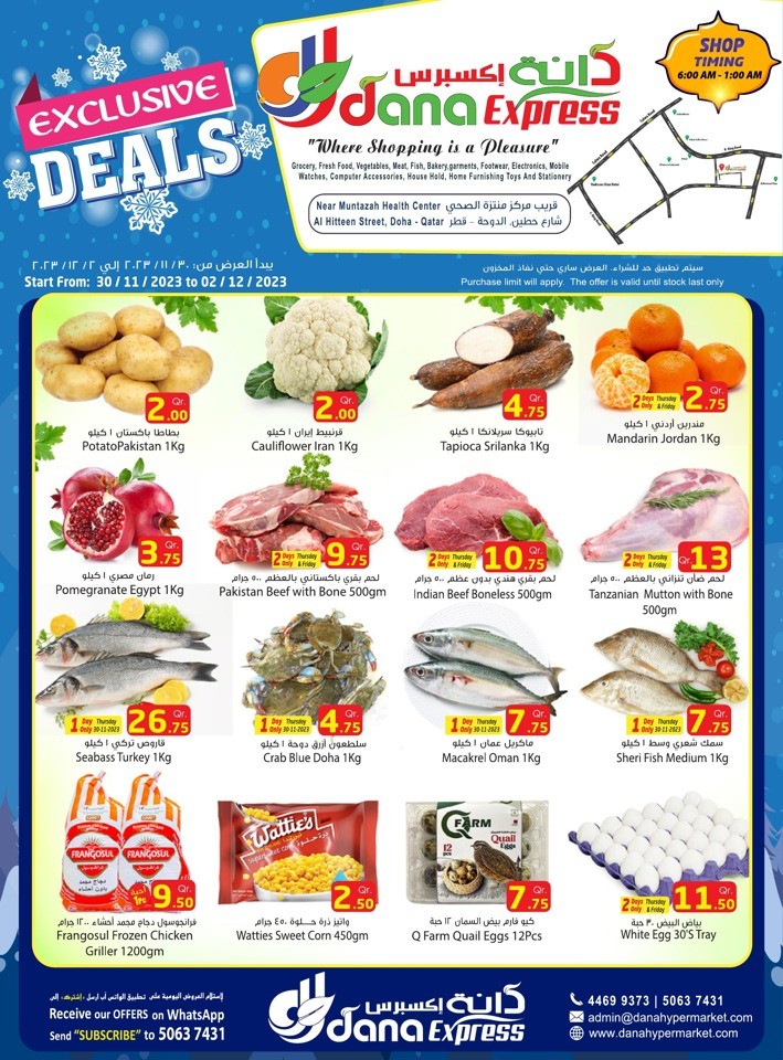 Dana Express Exclusive Deals Flyer | Qatar Offers Today